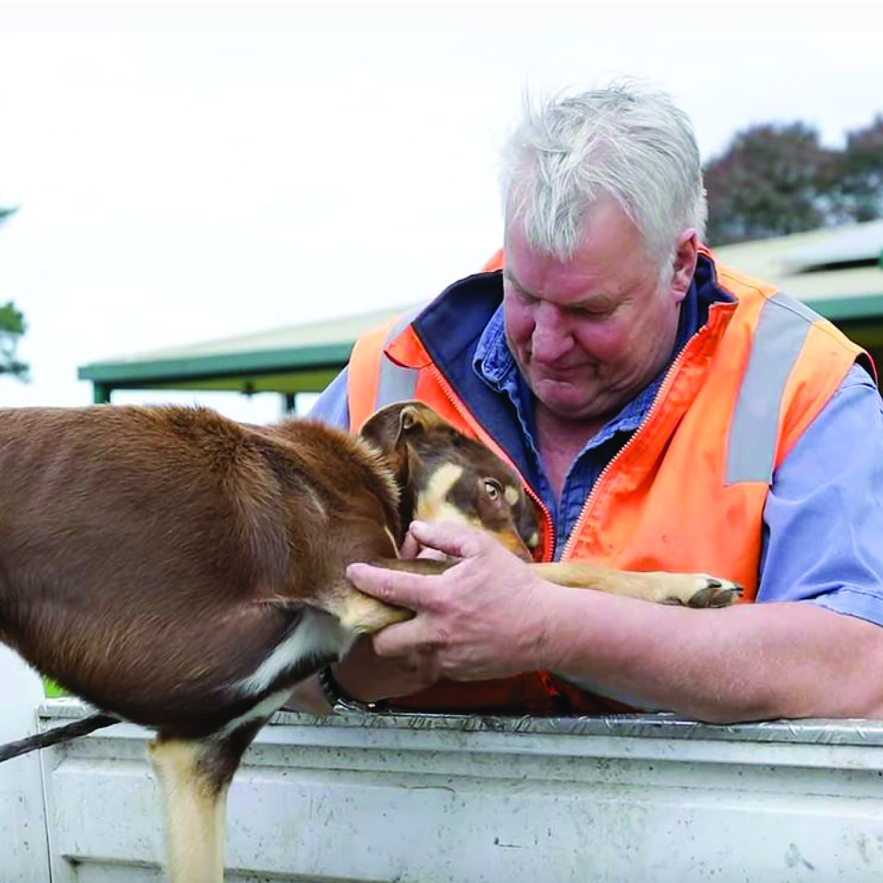 ReturnToWorkSA - work injury insurance